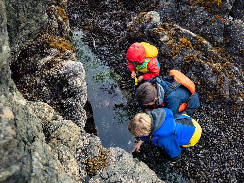 Camp Grey Outdoor School - OMSI Coastal Discovery Center